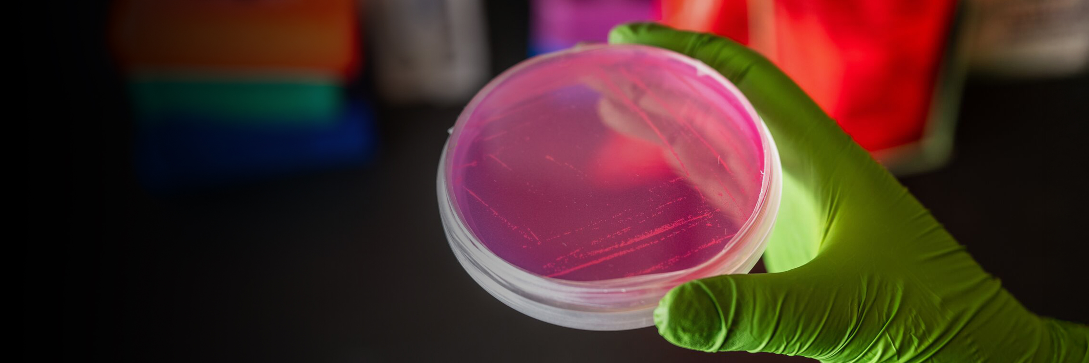 Predictive Phenomics | PNNL